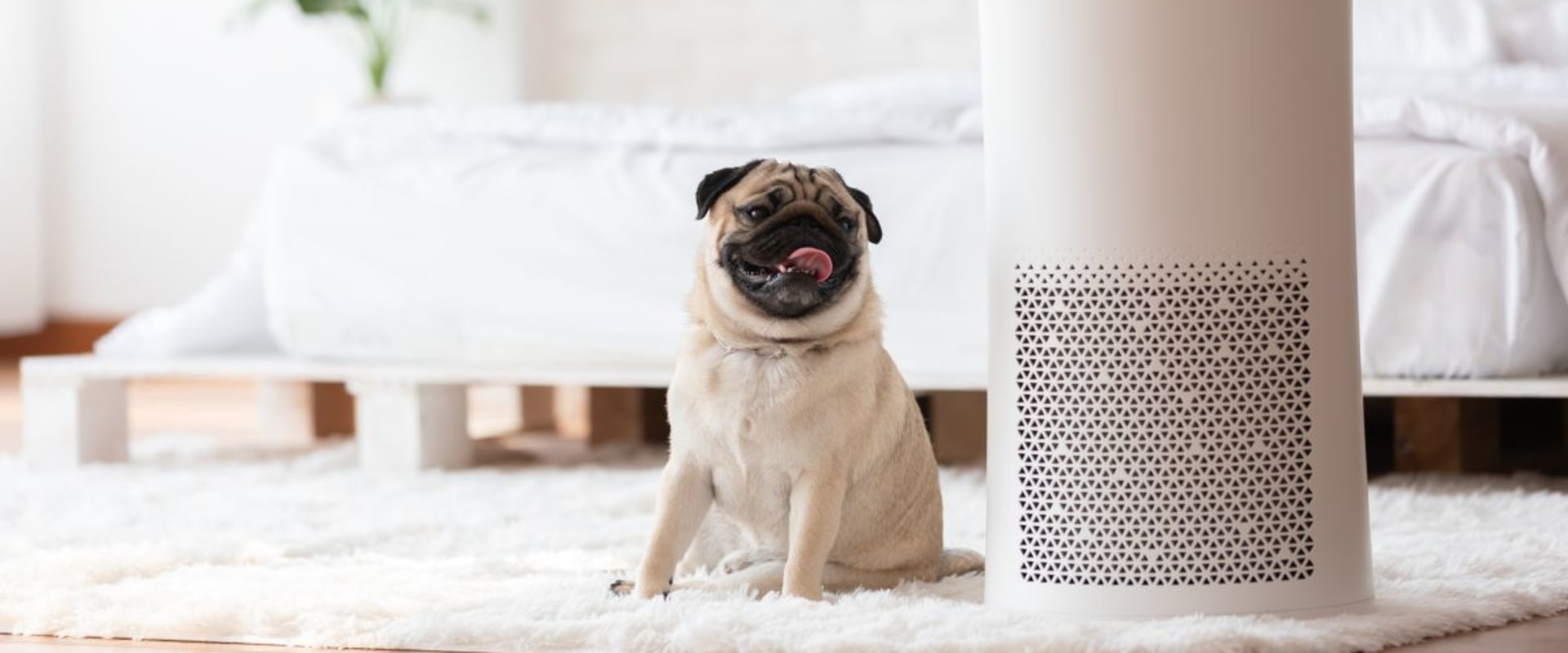Everything You Need to Know About AC Air Filters For Home
